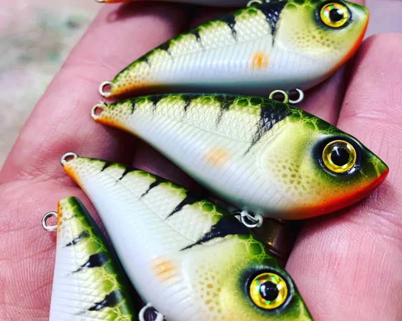 The Art and Appeal of Customized Fishing Lures - Abdellatifturf